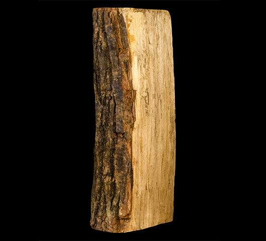 Elzenhout - Bestel direct online ovengedroogd brandhout